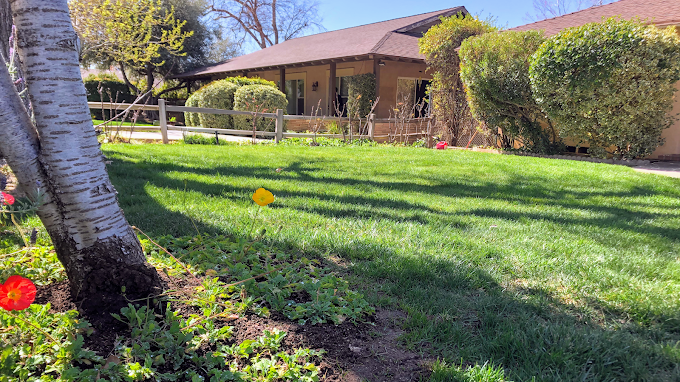 Precision Irrigation – Sprinkler maintenance and installation