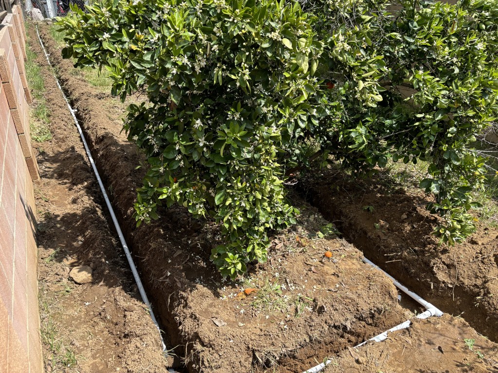 Precision Irrigation – Sprinkler maintenance and installation